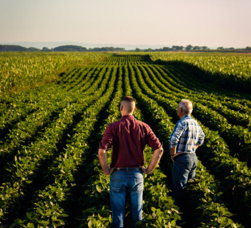 Home - Sunrise Fresh Produce